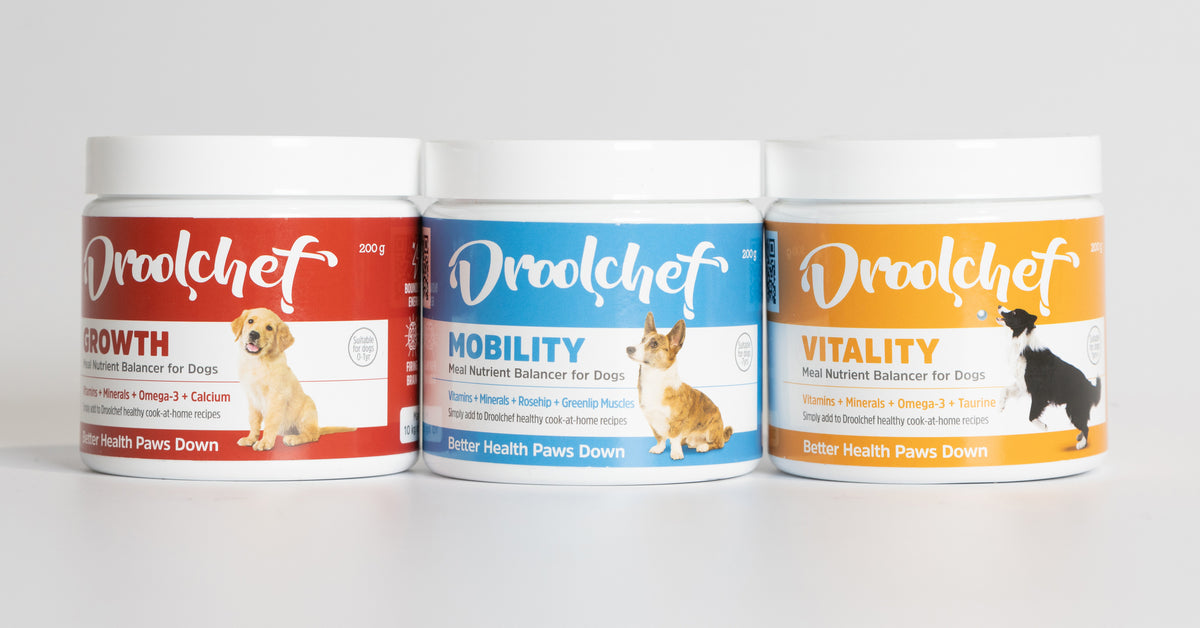 Homemade Dog & Cat Food Recipes with Vitamin & Mineral Supplements ...